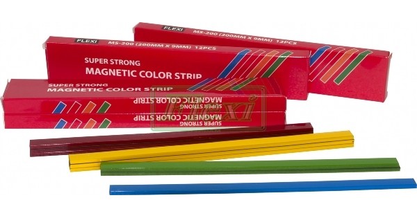 Magnetic Strip MS200